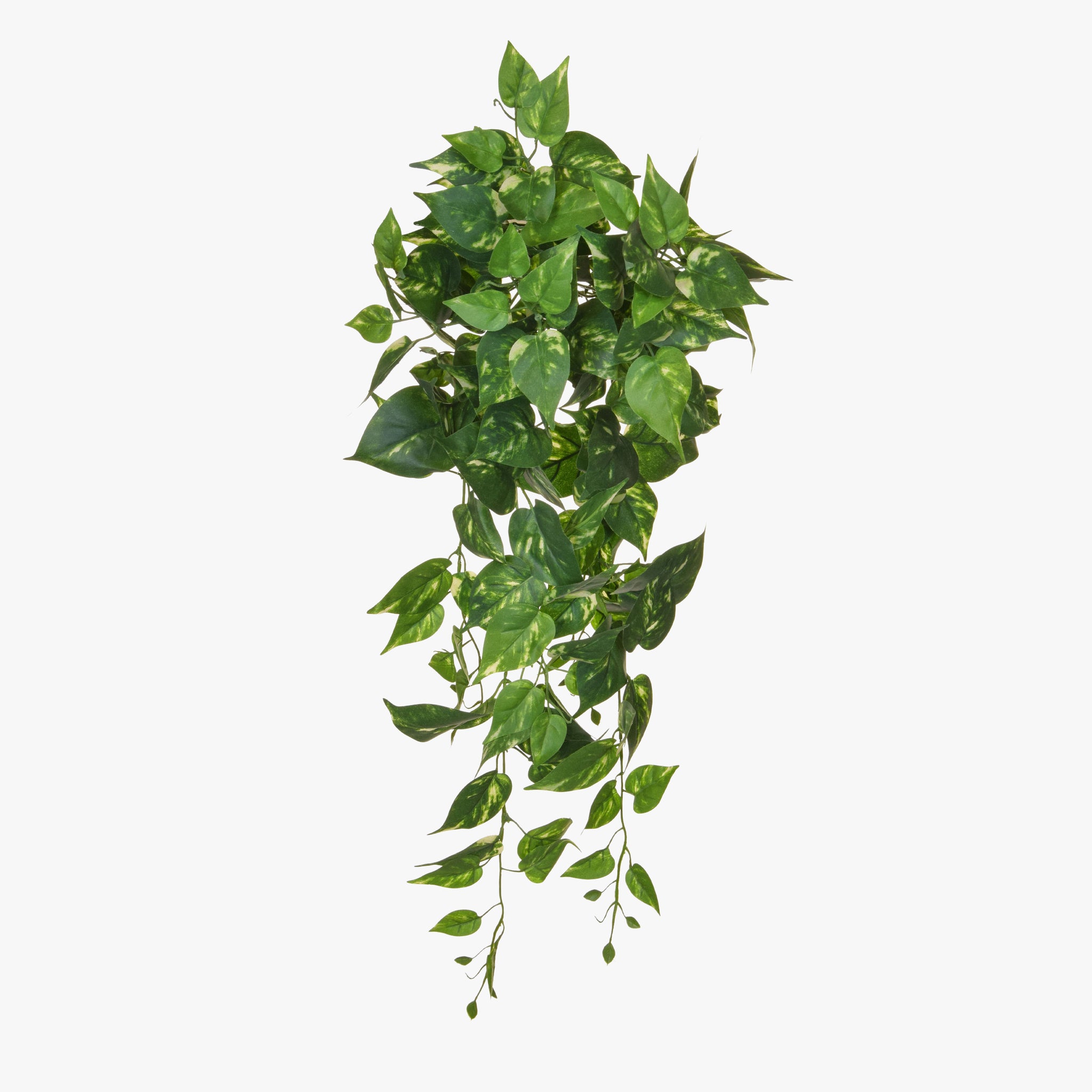 Fire Rated Artificial Trailing Pothos 6 Pack - Blooming Artificial
